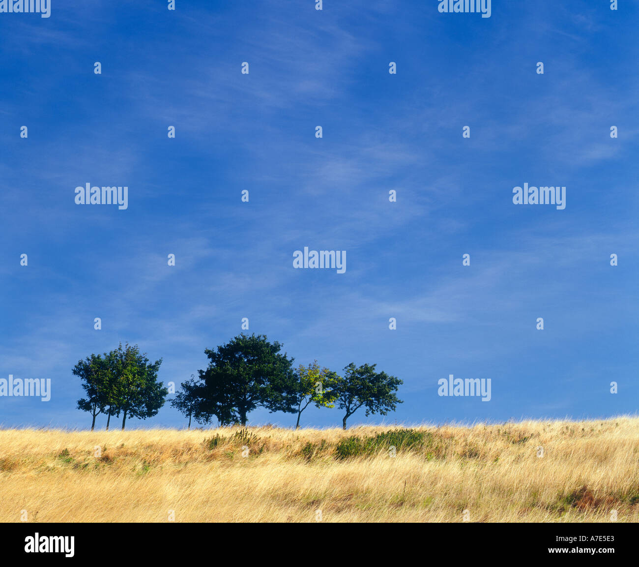 Horizon with blue sky hi-res stock photography and images - Alamy
