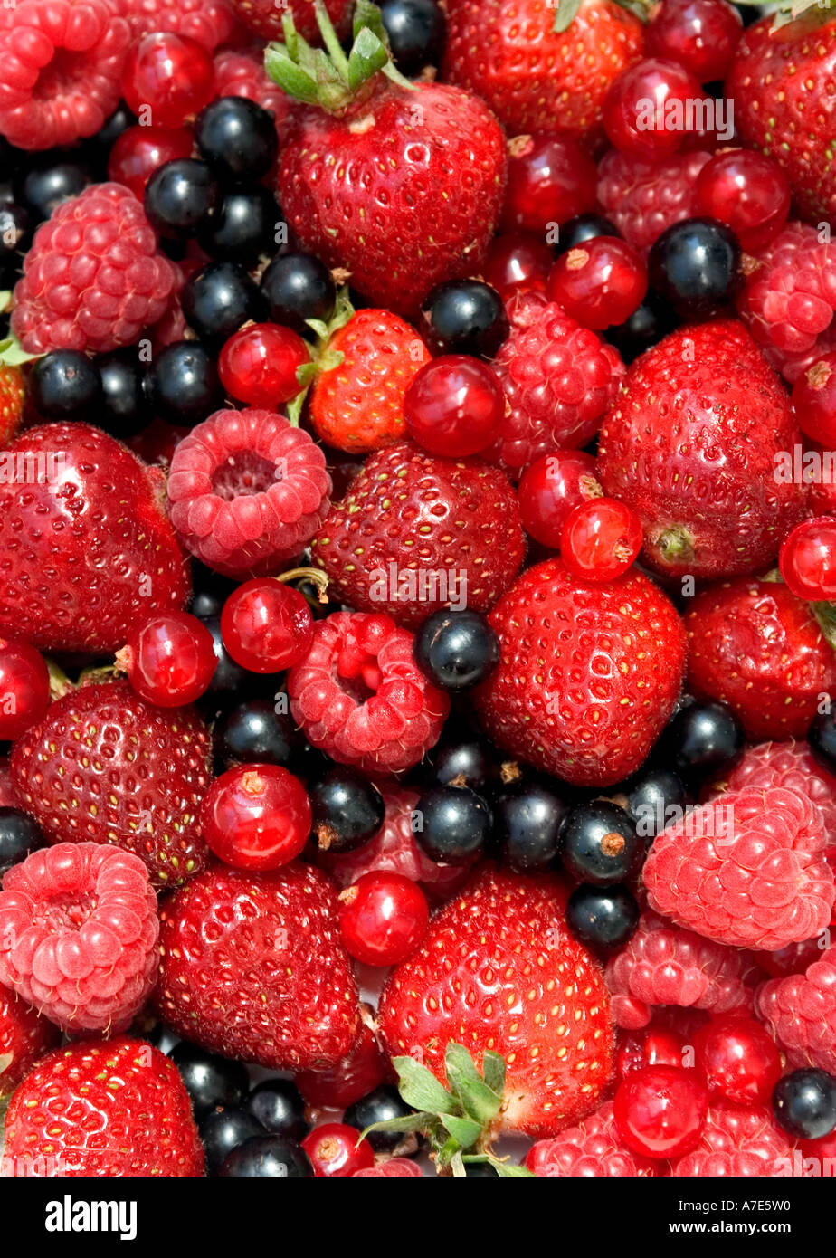 Full of berrys hi-res stock photography and images - Alamy