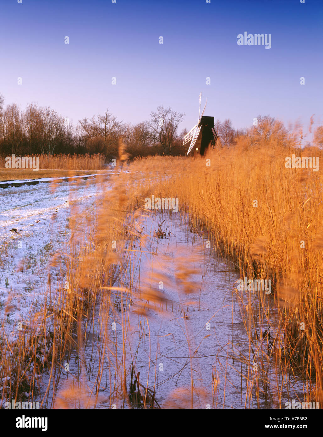 Winter at Wicken Fen Wicken Cambridgeshire The Fens East Anglia Engalnd ...