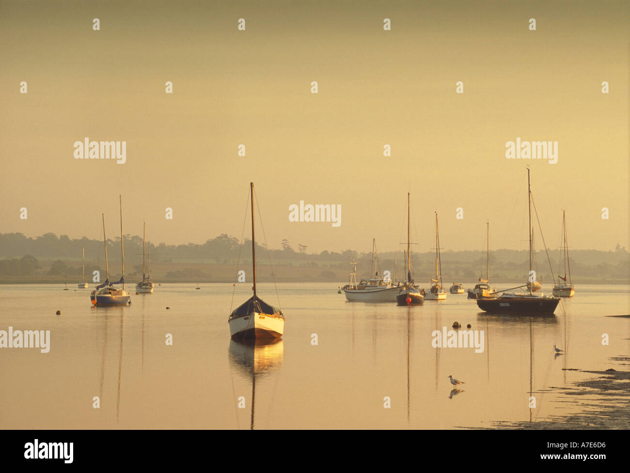 Manningtree hi-res stock photography and images - Alamy