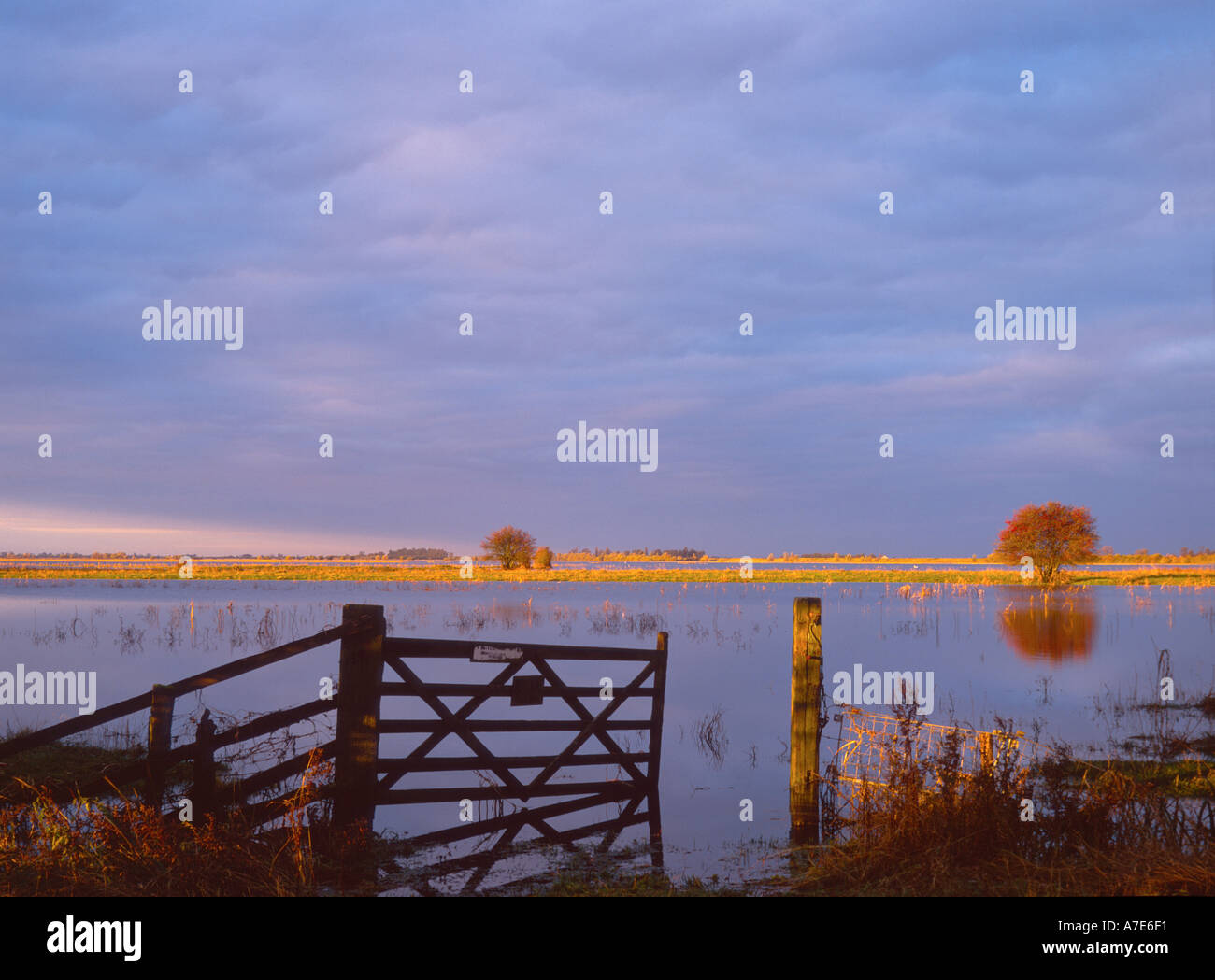 Cambridgeshire Fens Winter High Resolution Stock Photography and Images ...