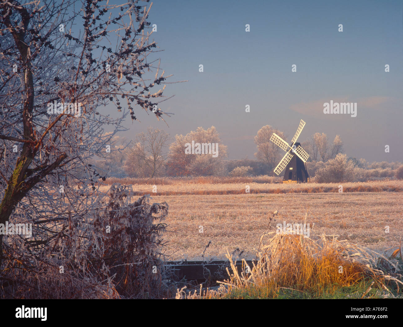 Winter at Wicken Fen Wicken Cambridgeshire The Fens East Anglia England ...
