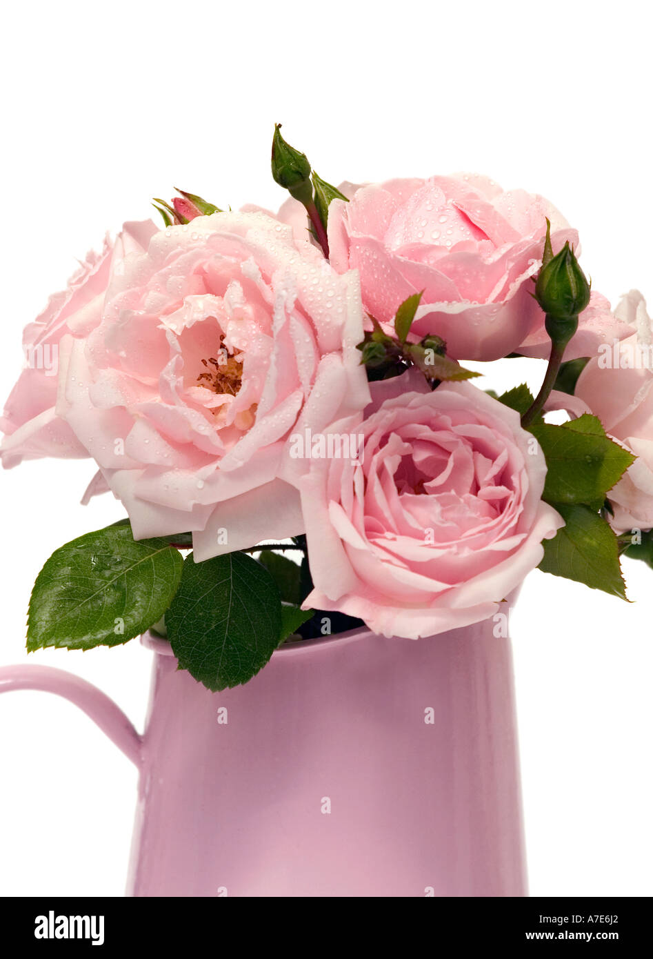 Frilly roses hi-res stock photography and images - Alamy
