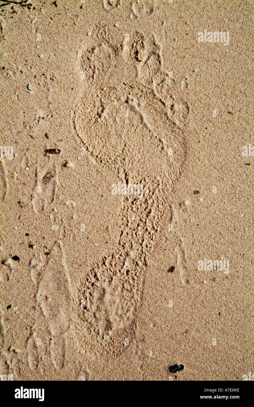 Man footprint on white sand beach at Cayo Jutias Cuba Stock Photo - Alamy