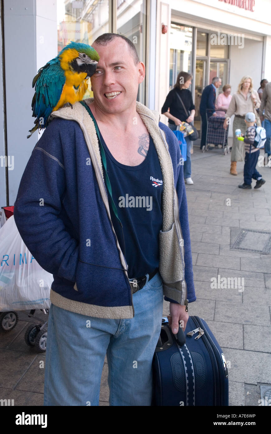 Parrot on shoulder uk hi-res stock photography and images - Alamy