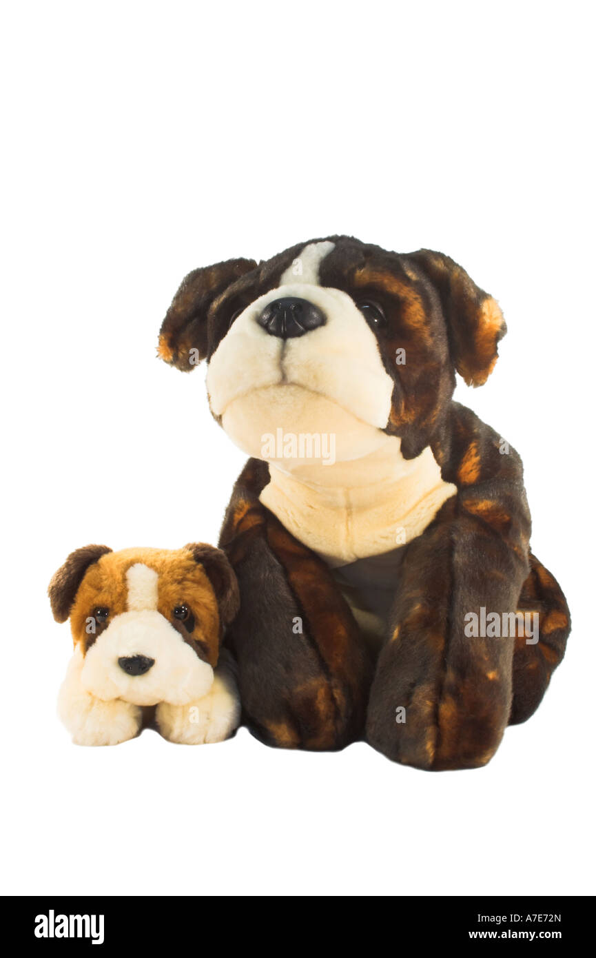 2 dogs Cut Out Stock Images & Pictures - Alamy