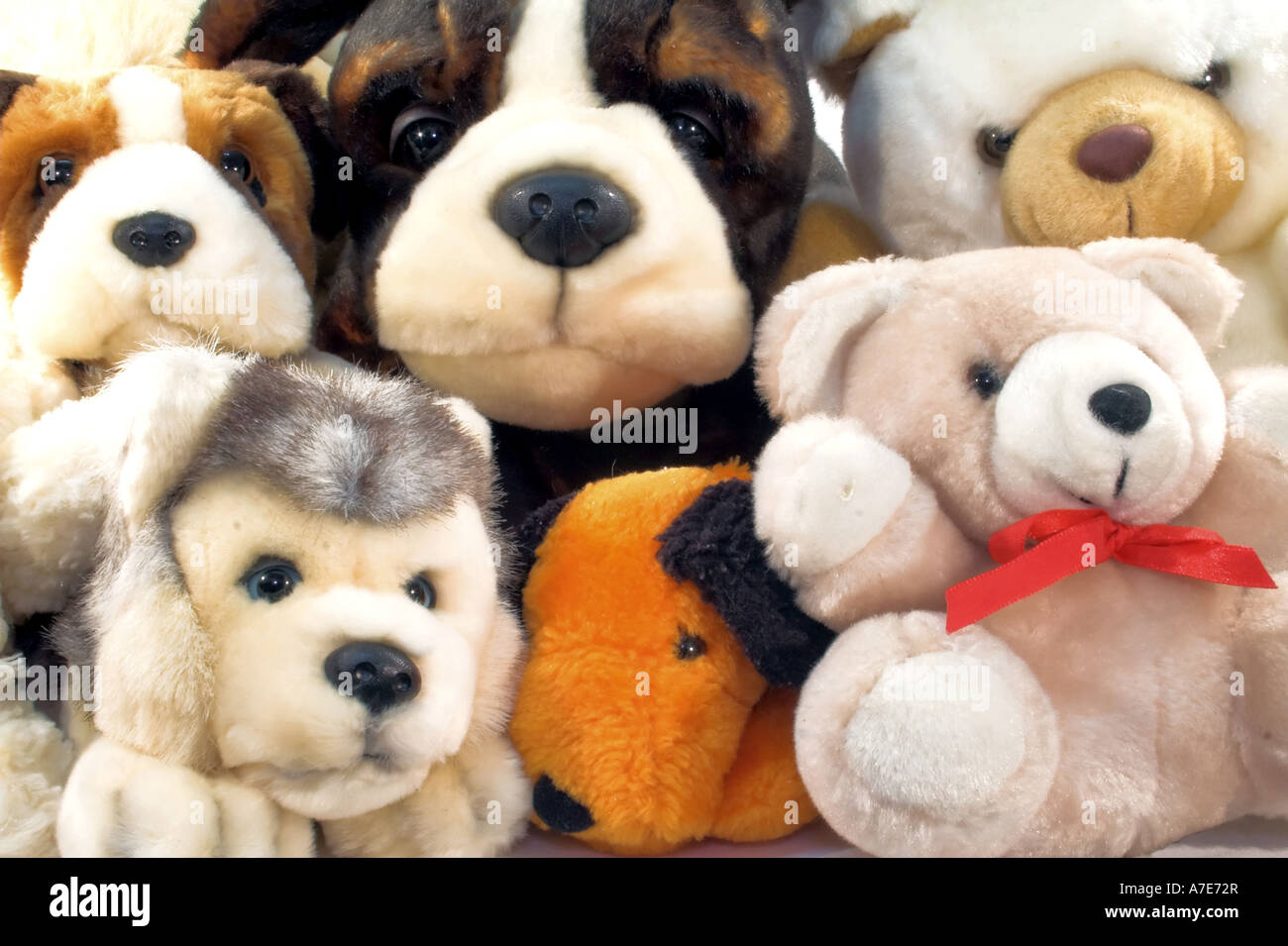 Pile of plush animals with dogs and teddies Stock Photo - Alamy