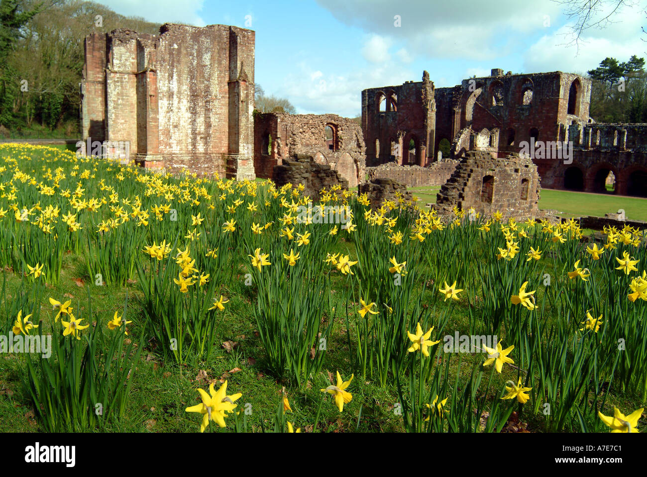 Red furness abbey sandstone hi-res stock photography and images - Alamy