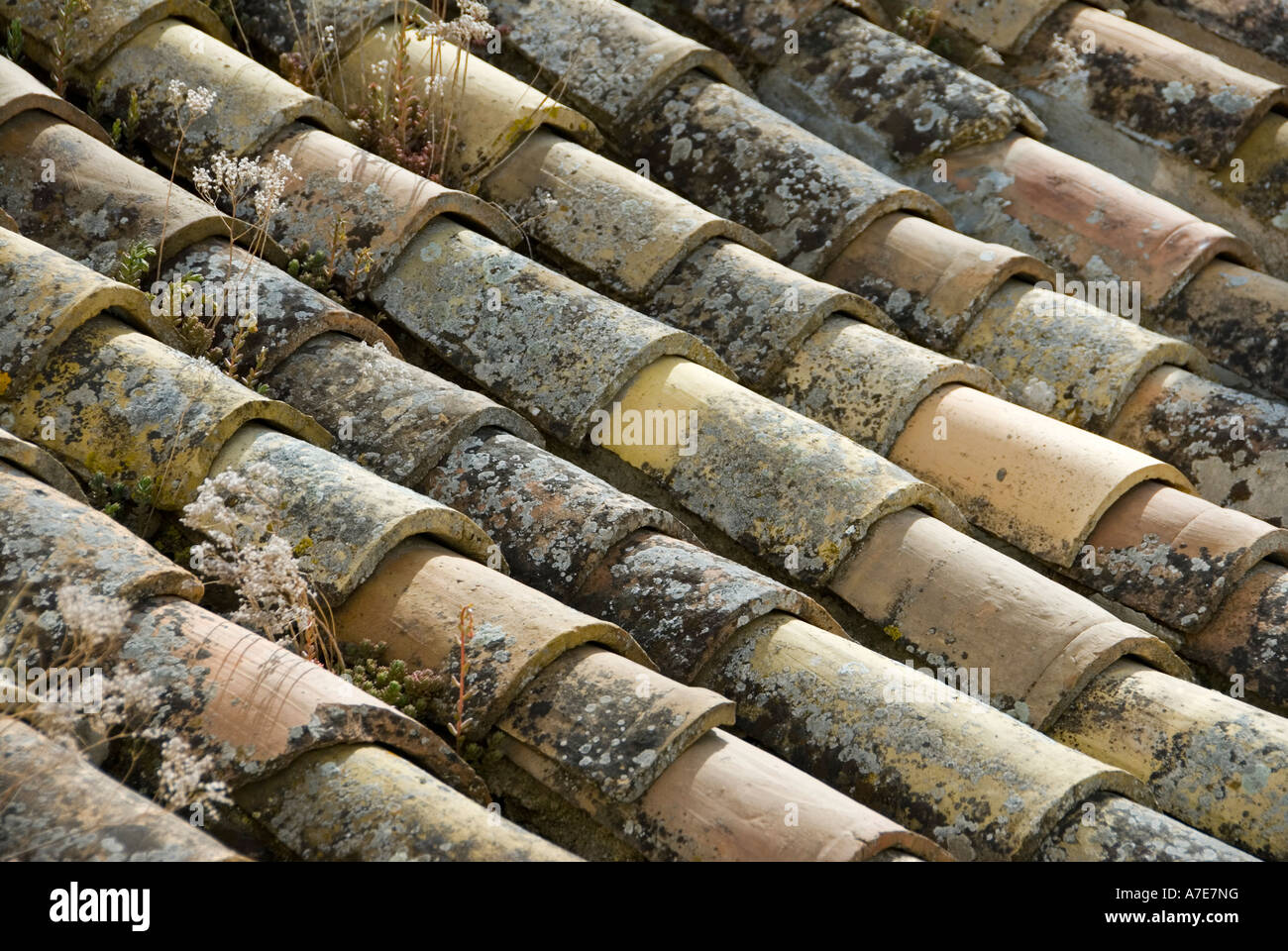 Old tiles roof house hi-res stock photography and images - Alamy