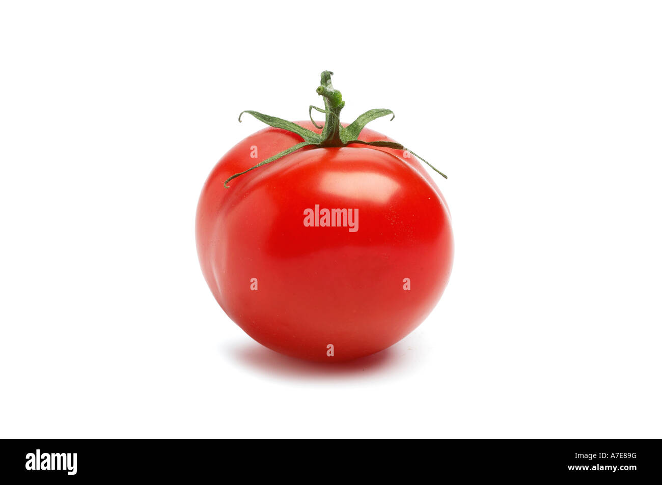 Tomato stalk Cut Out Stock Images & Pictures - Alamy