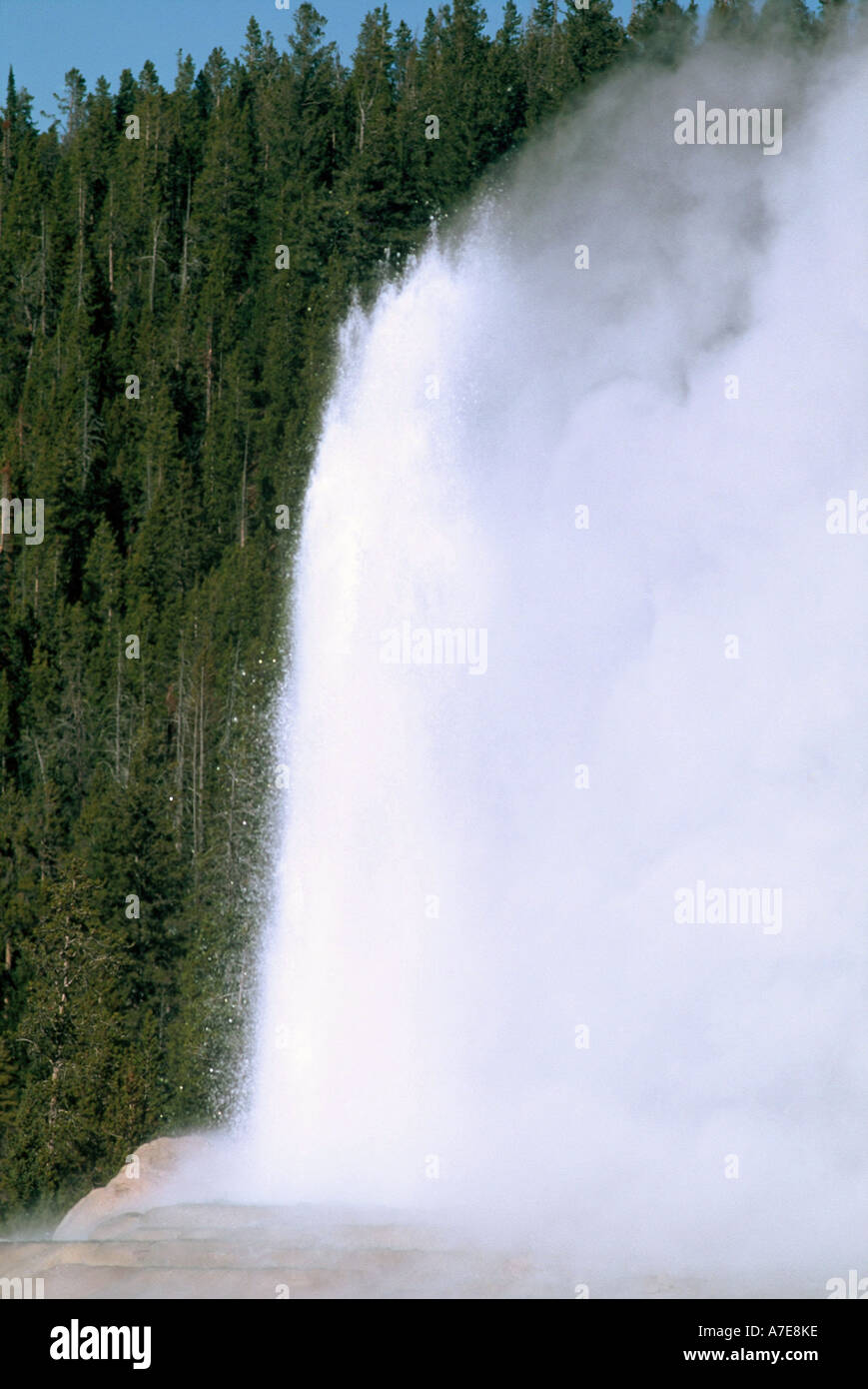 1988 yellowstone forest fires hi-res stock photography and images - Alamy