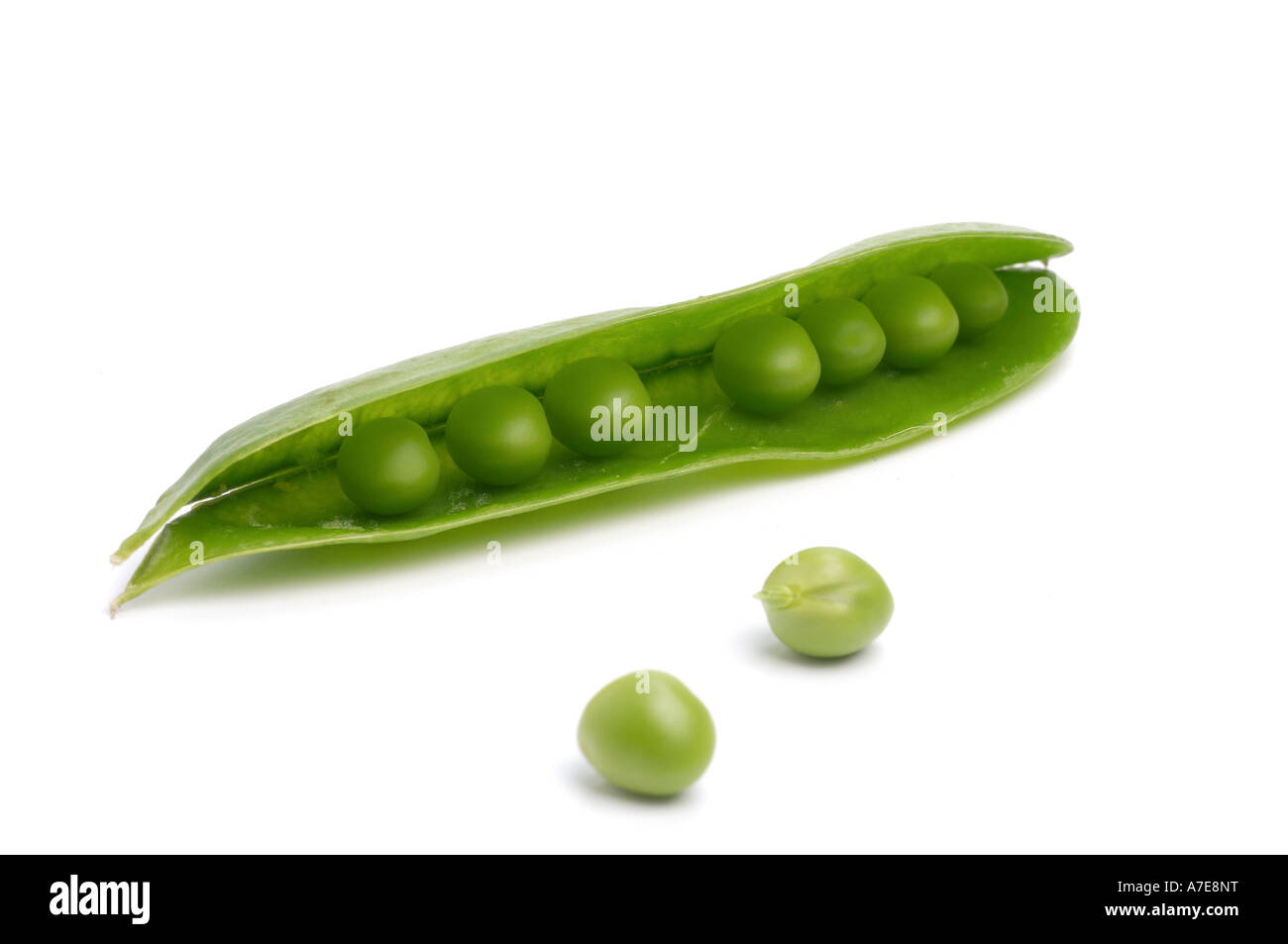 Fresh pea pod opened showing peas Stock Photo - Alamy