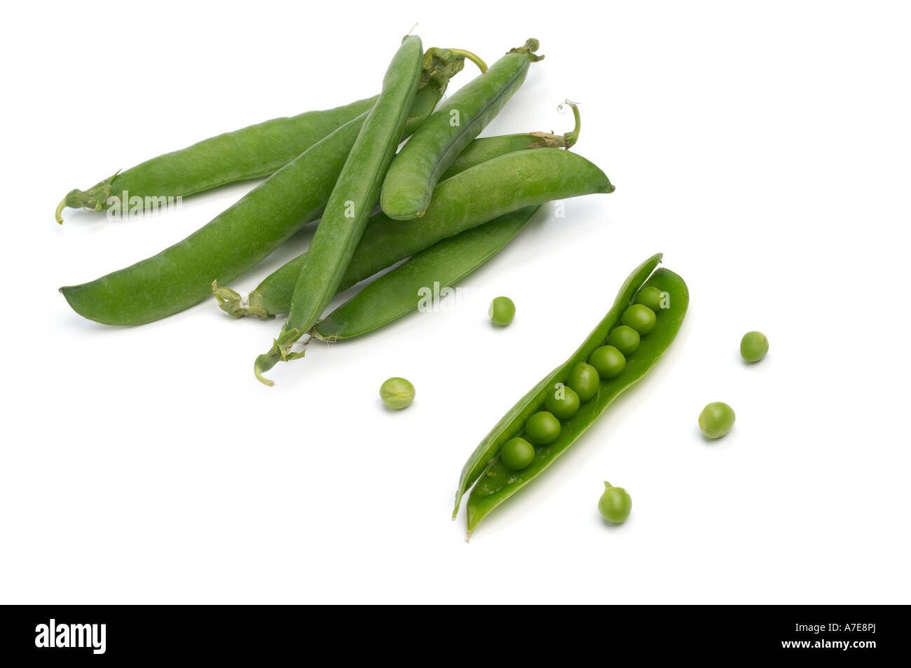 Fresh pea pods one opened showing peas Stock Photo - Alamy
