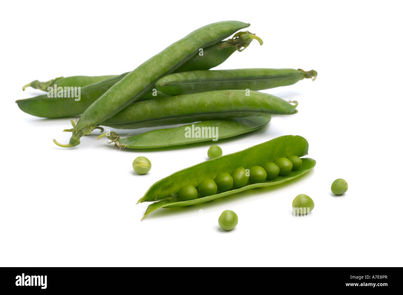 Fresh pea pods one opened showing peas Stock Photo - Alamy