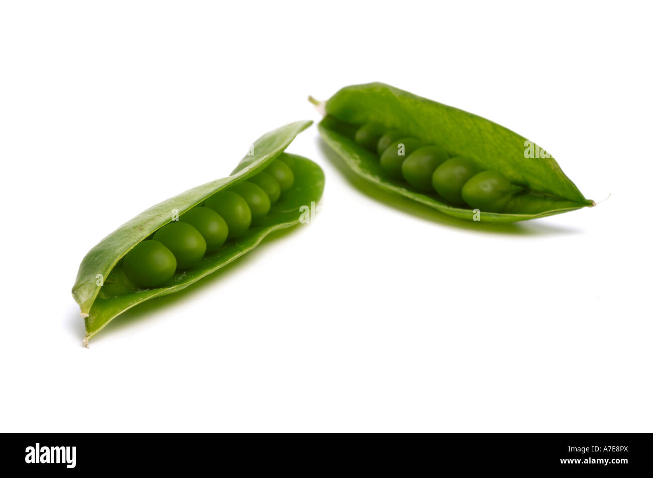 Two fresh pea pods opened showing peas Stock Photo - Alamy