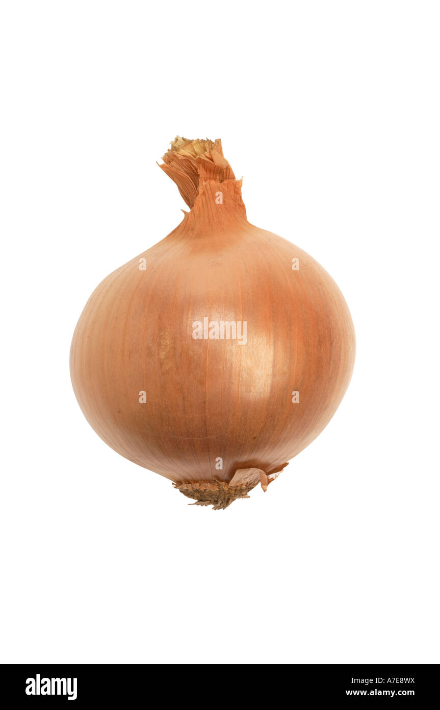 Single White Onion Stock Photo - Alamy