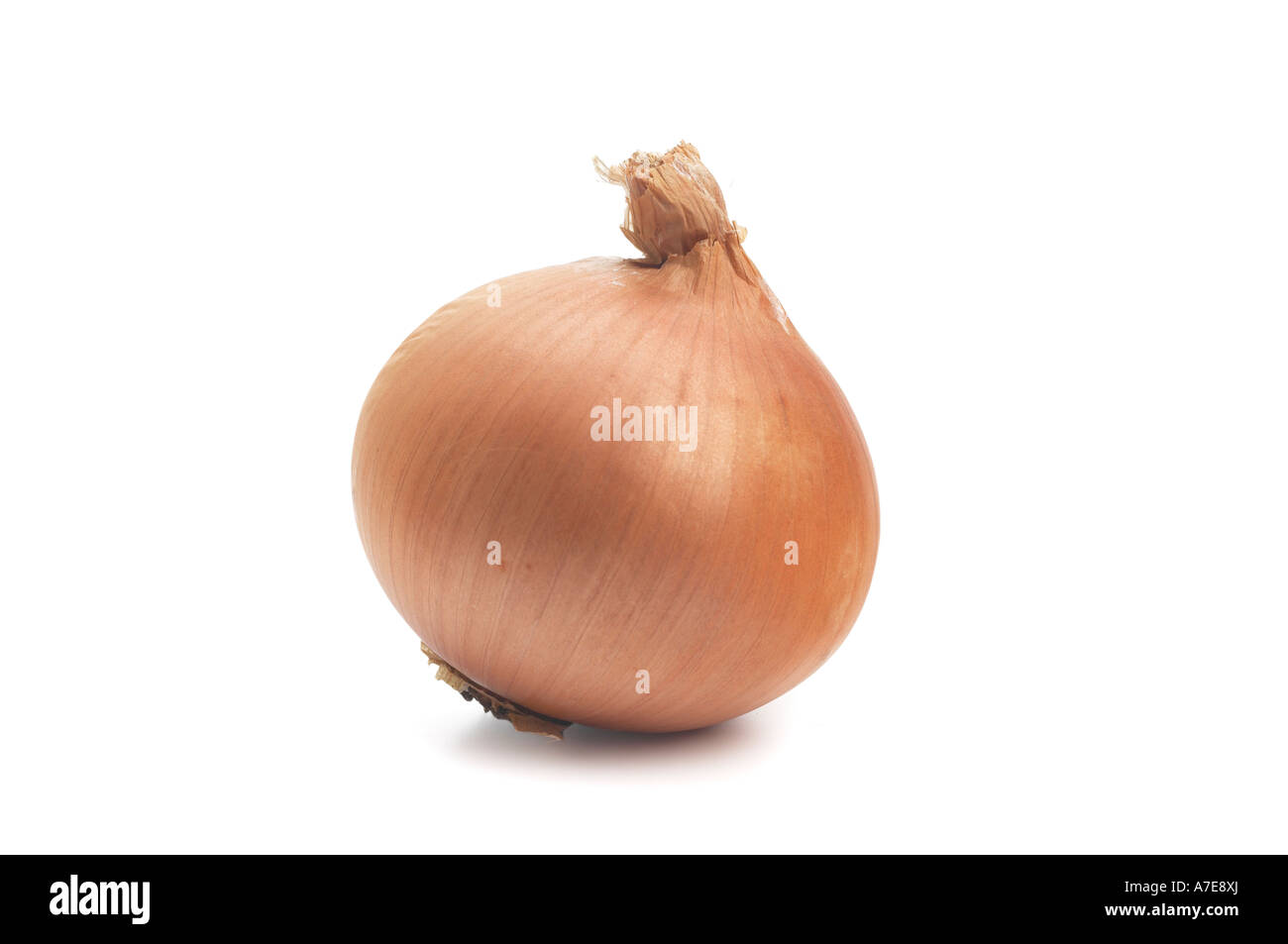 Single White Onion Stock Photo - Alamy