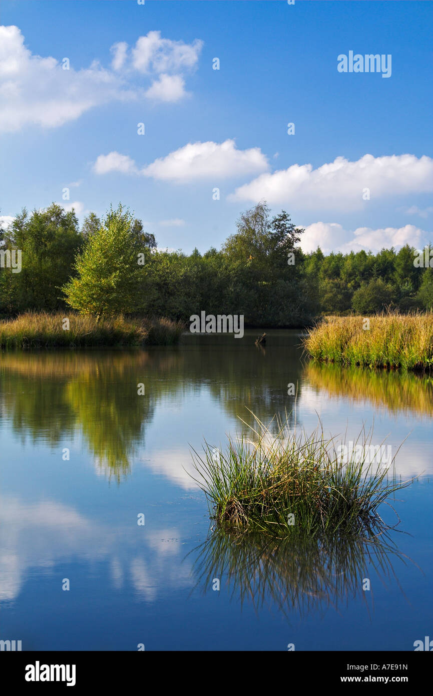 Cinderford gloucestershire hi-res stock photography and images - Alamy
