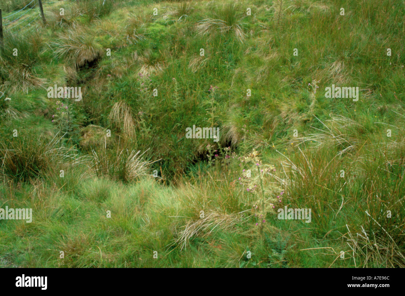 Shakehole shake hole erosion hi-res stock photography and images - Alamy