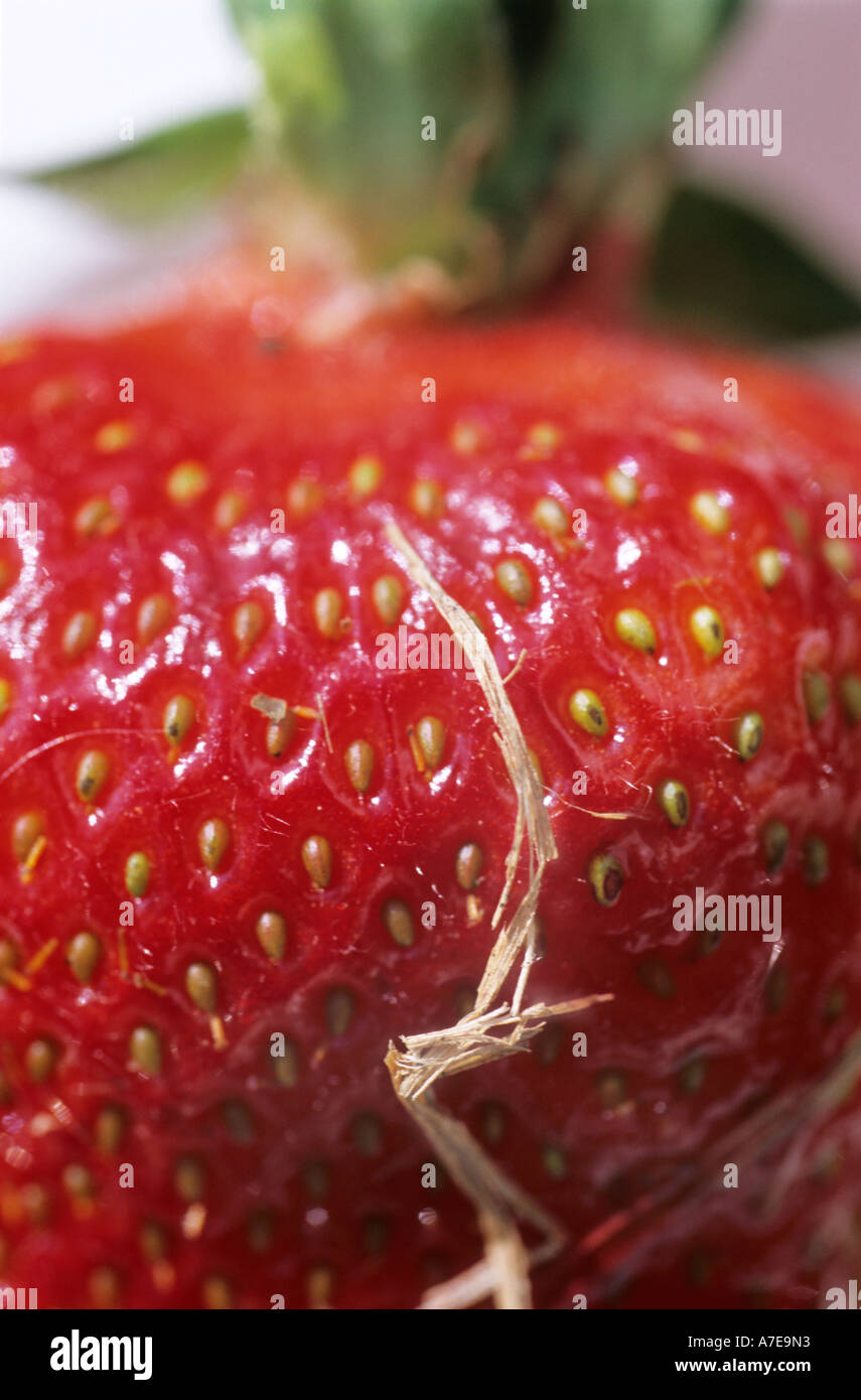 STRAW ON STRAWBERRY Stock Photo - Alamy