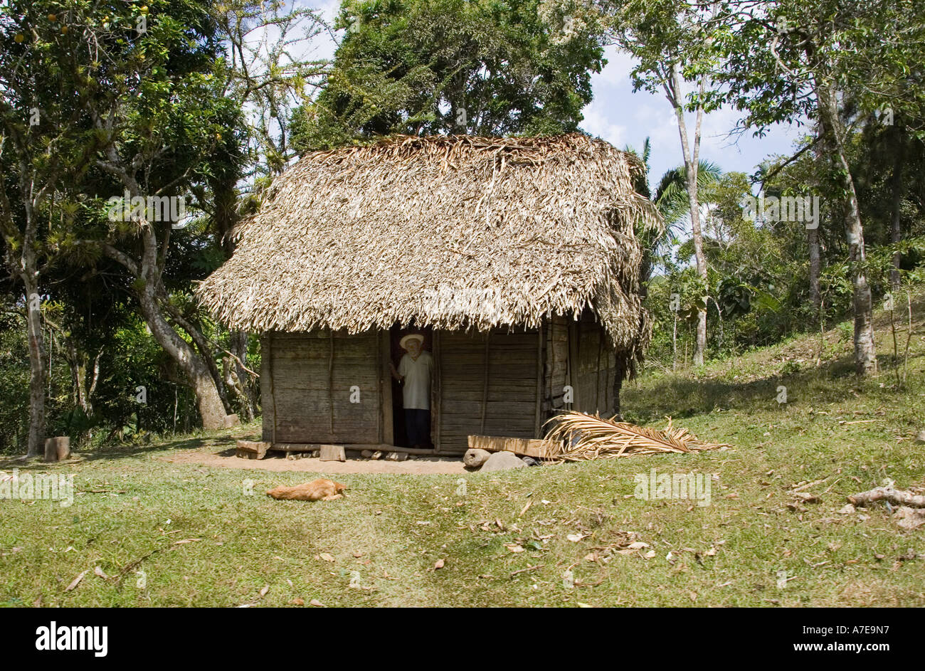 Panama country side Stock Photo - Alamy