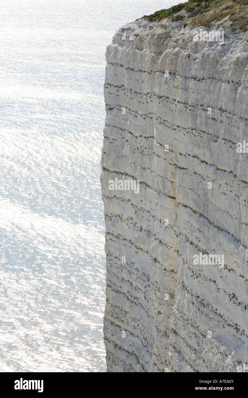Beachy Head white chalk and flint layered cliff strata East Sussex ...