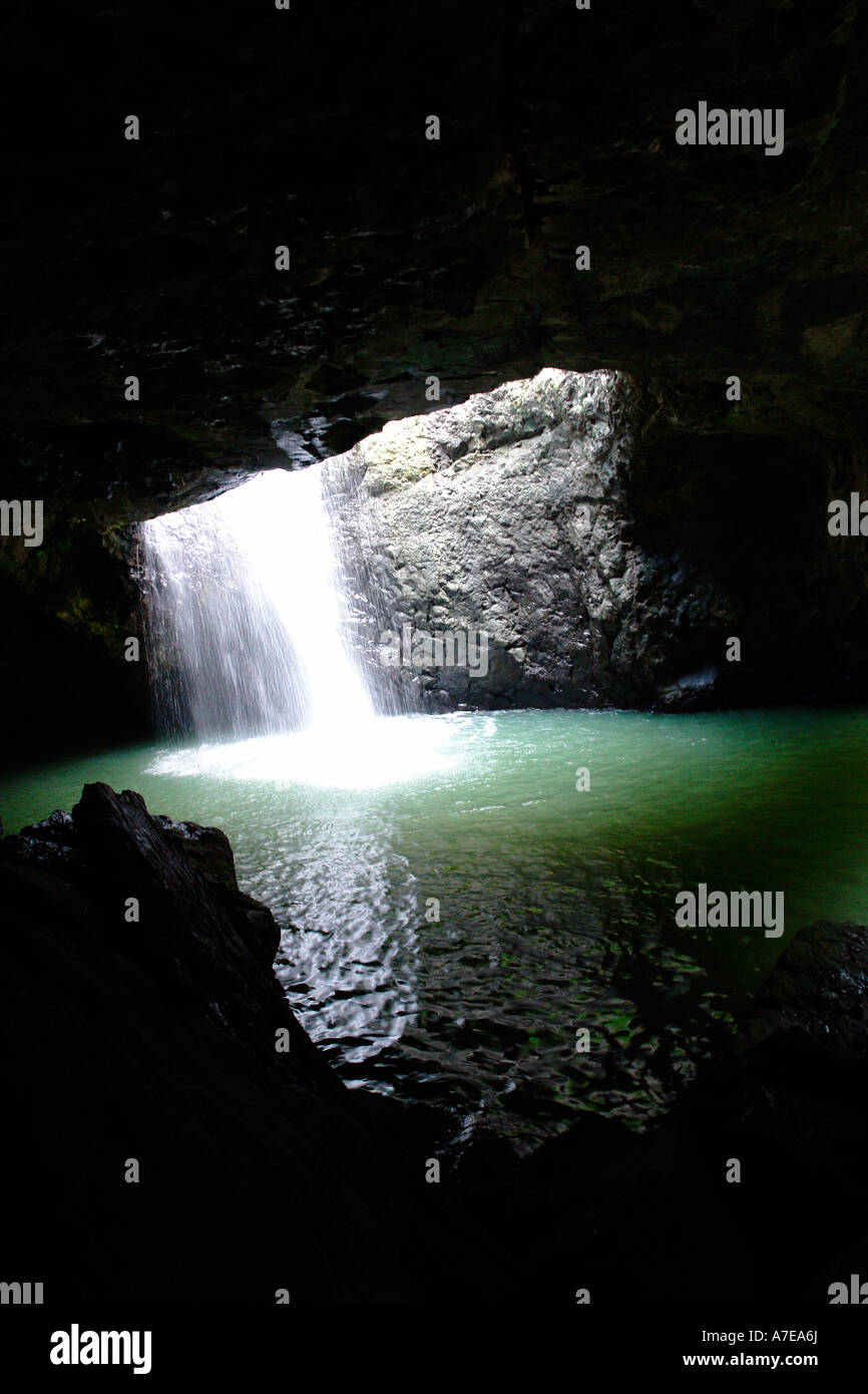 Numinbah valley hi-res stock photography and images - Alamy