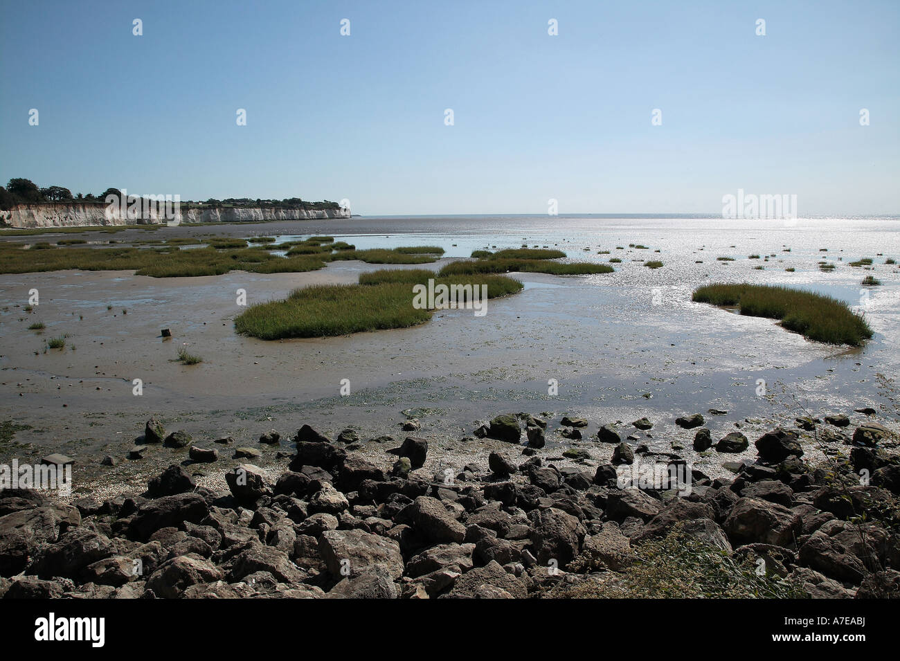 Pegwell bay nature reserve hi-res stock photography and images - Alamy