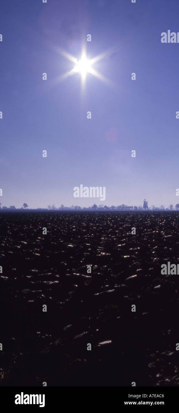 Noroflk hi-res stock photography and images - Alamy