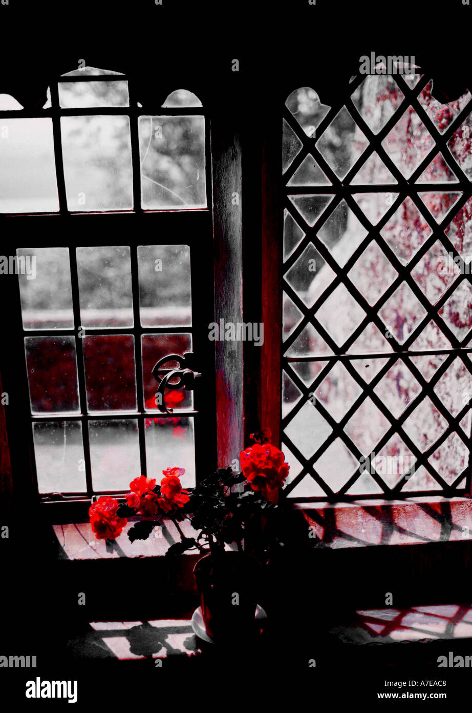 leaded light window Stock Photo - Alamy