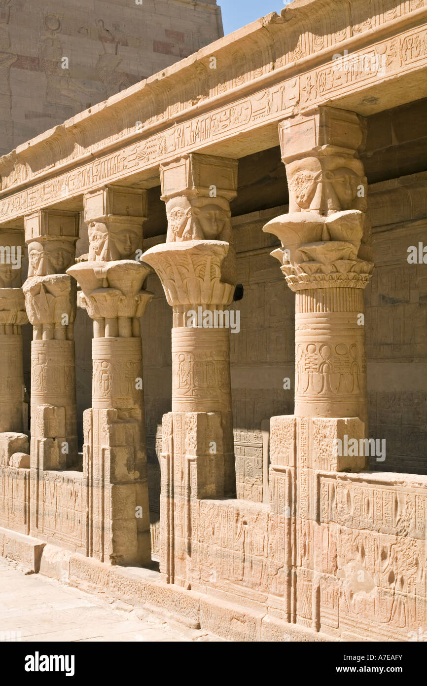 Egyptian Columns Were Influenced By