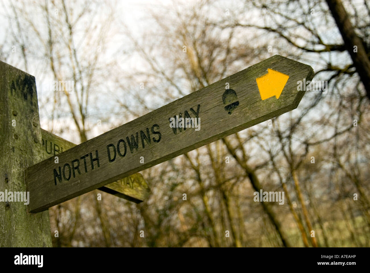 North downs way walk hi-res stock photography and images - Alamy