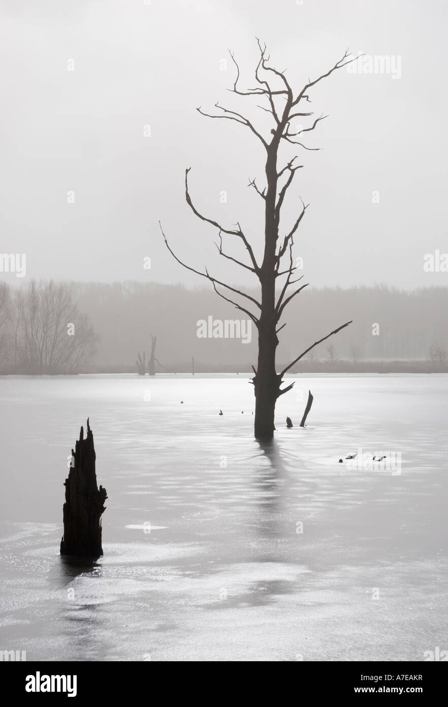 Frozen dead hi-res stock photography and images - Alamy