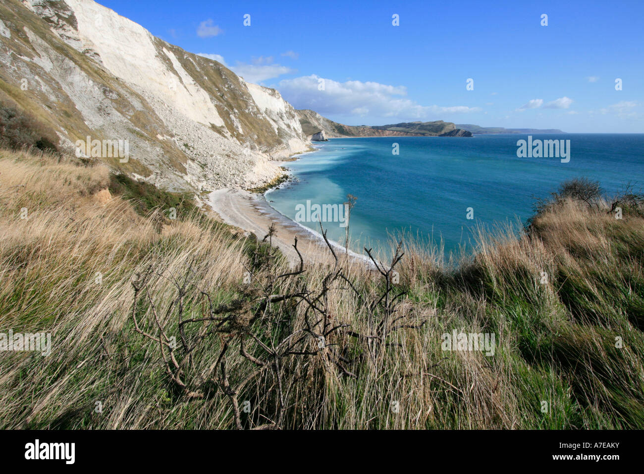 mupe bay dorset coastal footpath world heritage site jurasic coastline ...