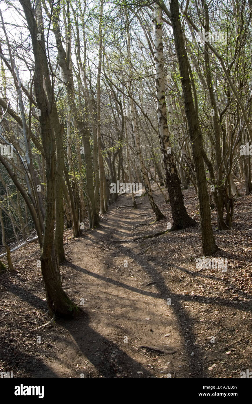 Ranmore hi-res stock photography and images - Alamy