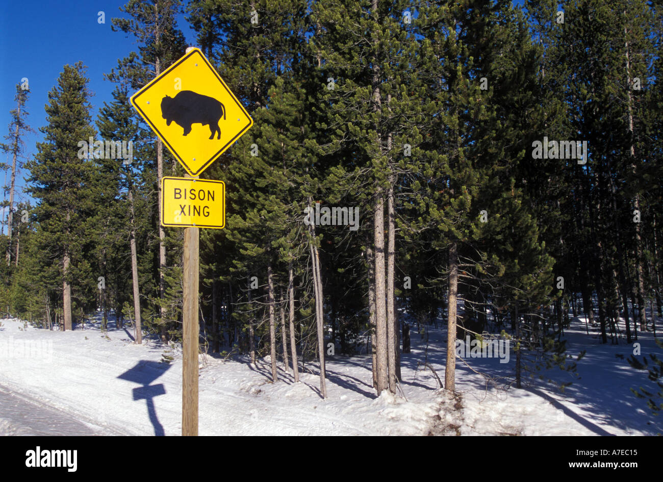 Bison crossing warning sign near West Yellowstone Montana Stock Photo ...