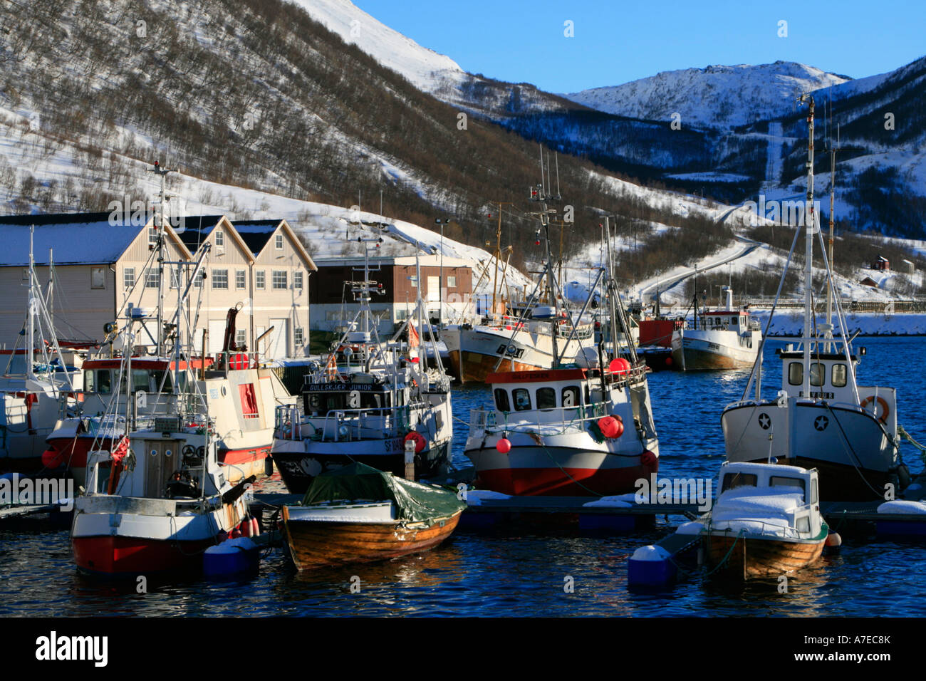 husoy fishing village small island senja coastal norway winter arctic ...