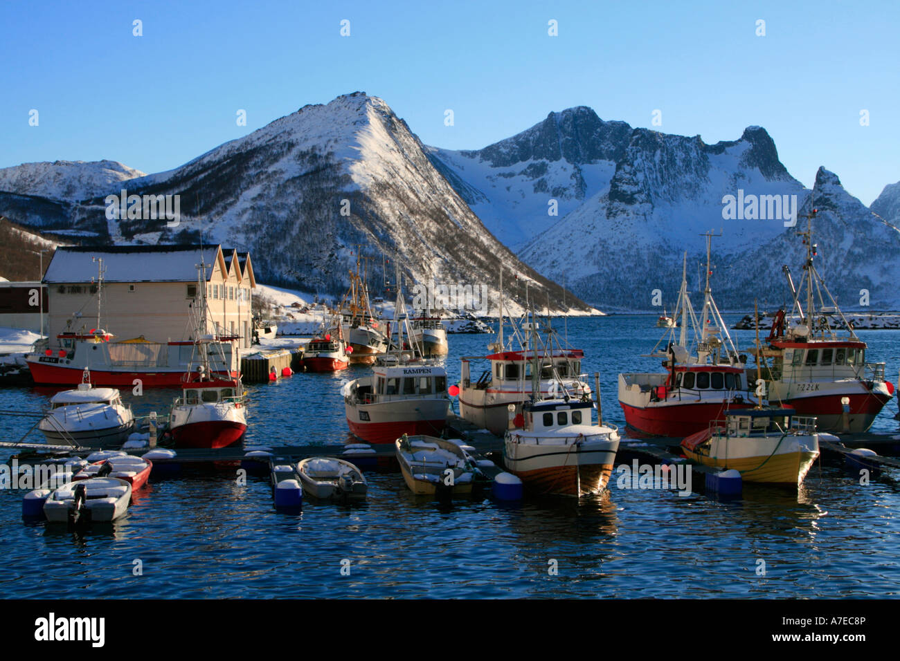 husoy fishing village small island senja coastal norway winter arctic ...