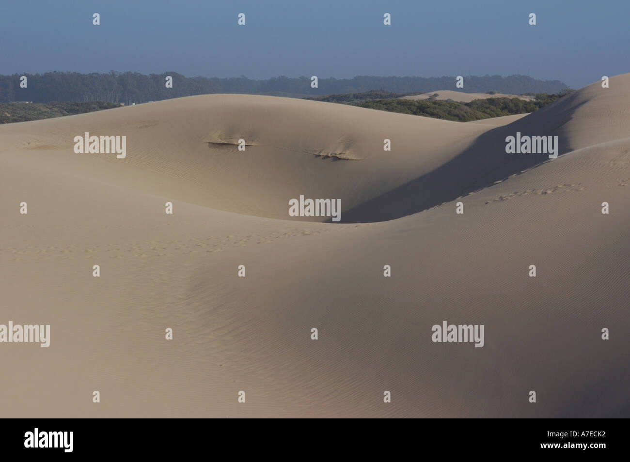 Oceano Sand Dunes Stock Photo - Alamy