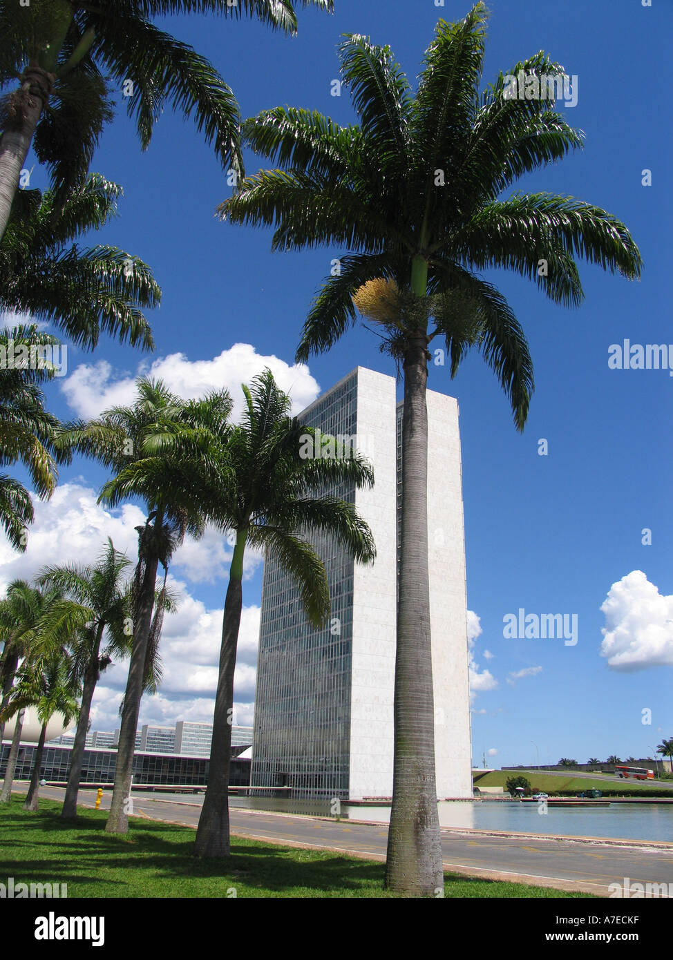 Brazilian National Congress and trees in Brasilia-BR Stock Photo - Alamy