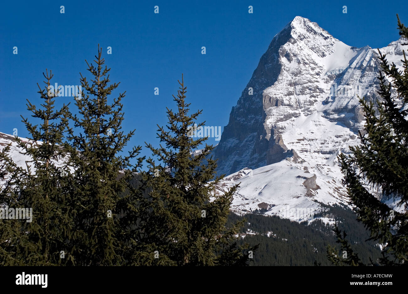 North Face of Eiger Swiss Alps Stock Photo - Alamy