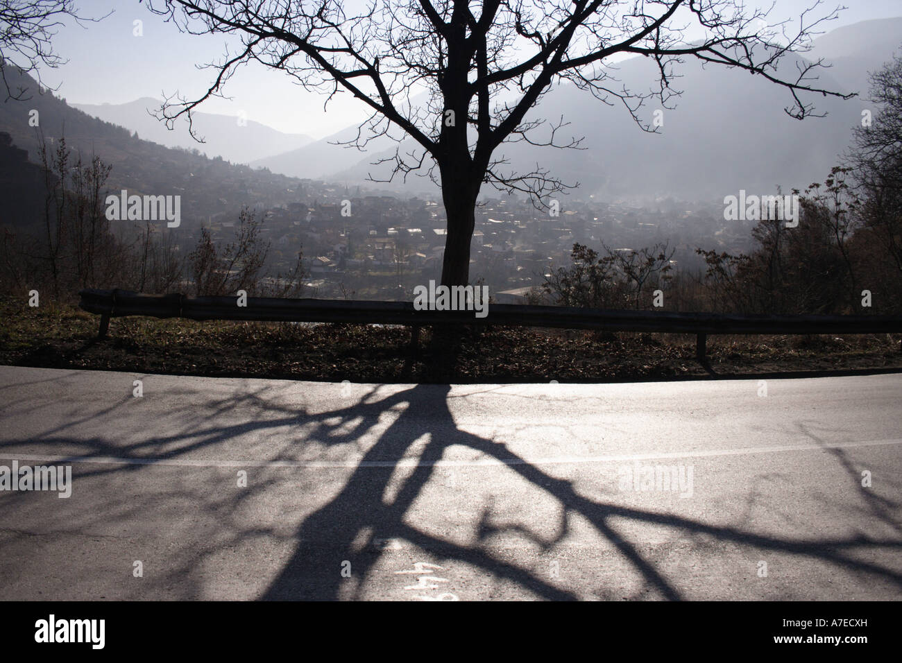 tree,on a road,shadows,landscape,horizontal,sunny,Bulgaria Stock Photo ...