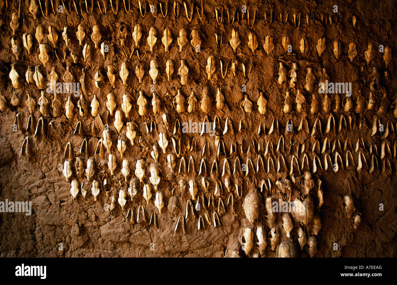 Mali rat hi-res stock photography and images - Alamy