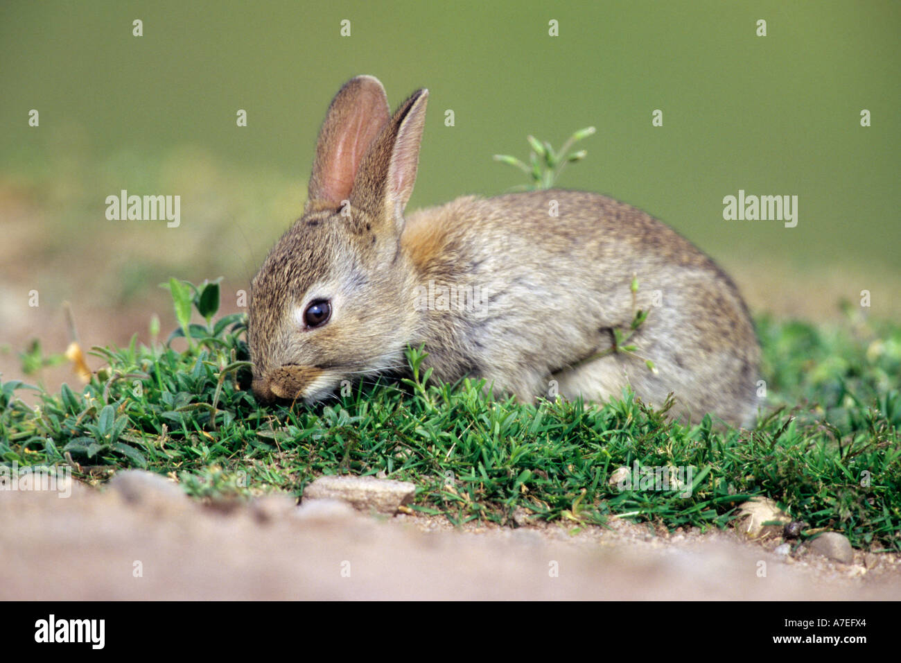Sidewards view hi-res stock photography and images - Alamy
