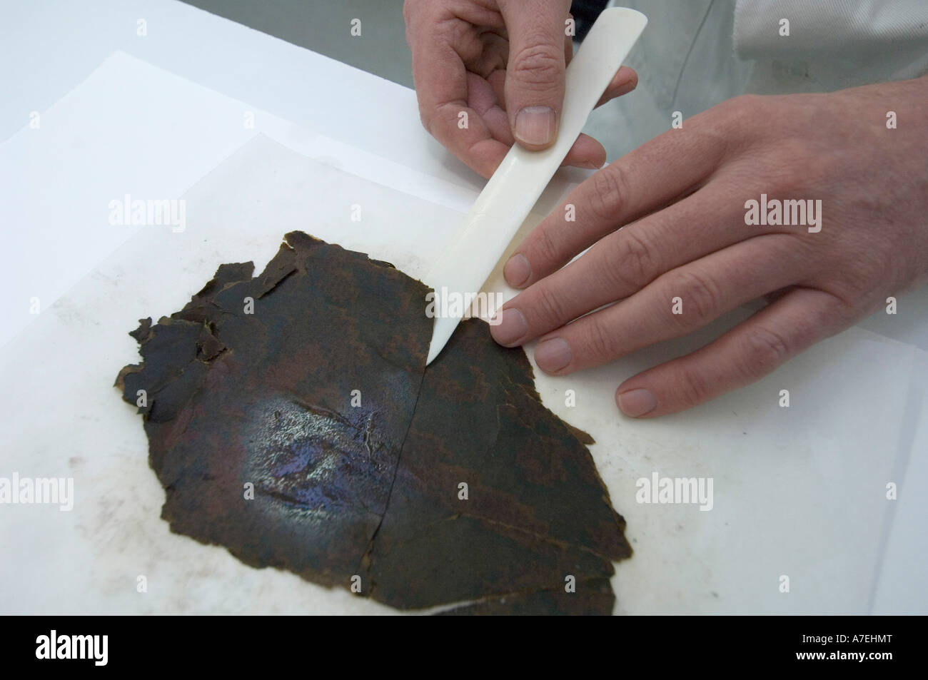 Carefully dried hi-res stock photography and images - Alamy