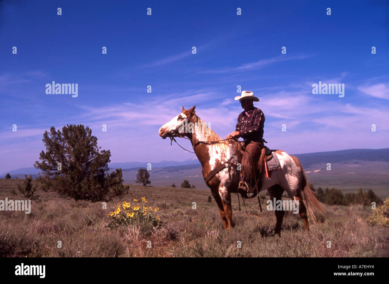 A cowboy and his horse on a mountain overlooking a valley in Western ...