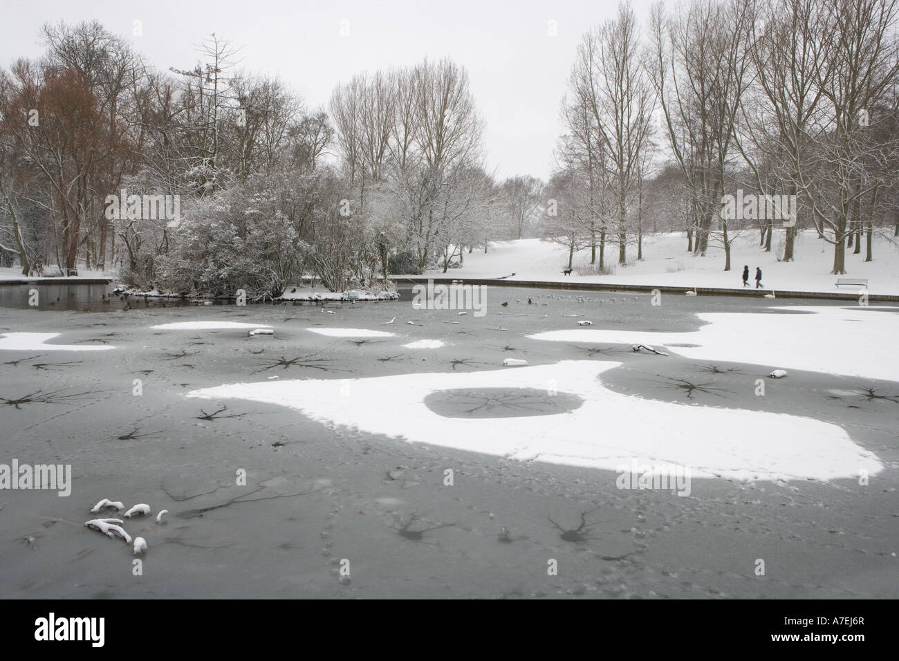 Snowy Pond, Abington Park, Northampton, Northamptonshire, England, UK ...