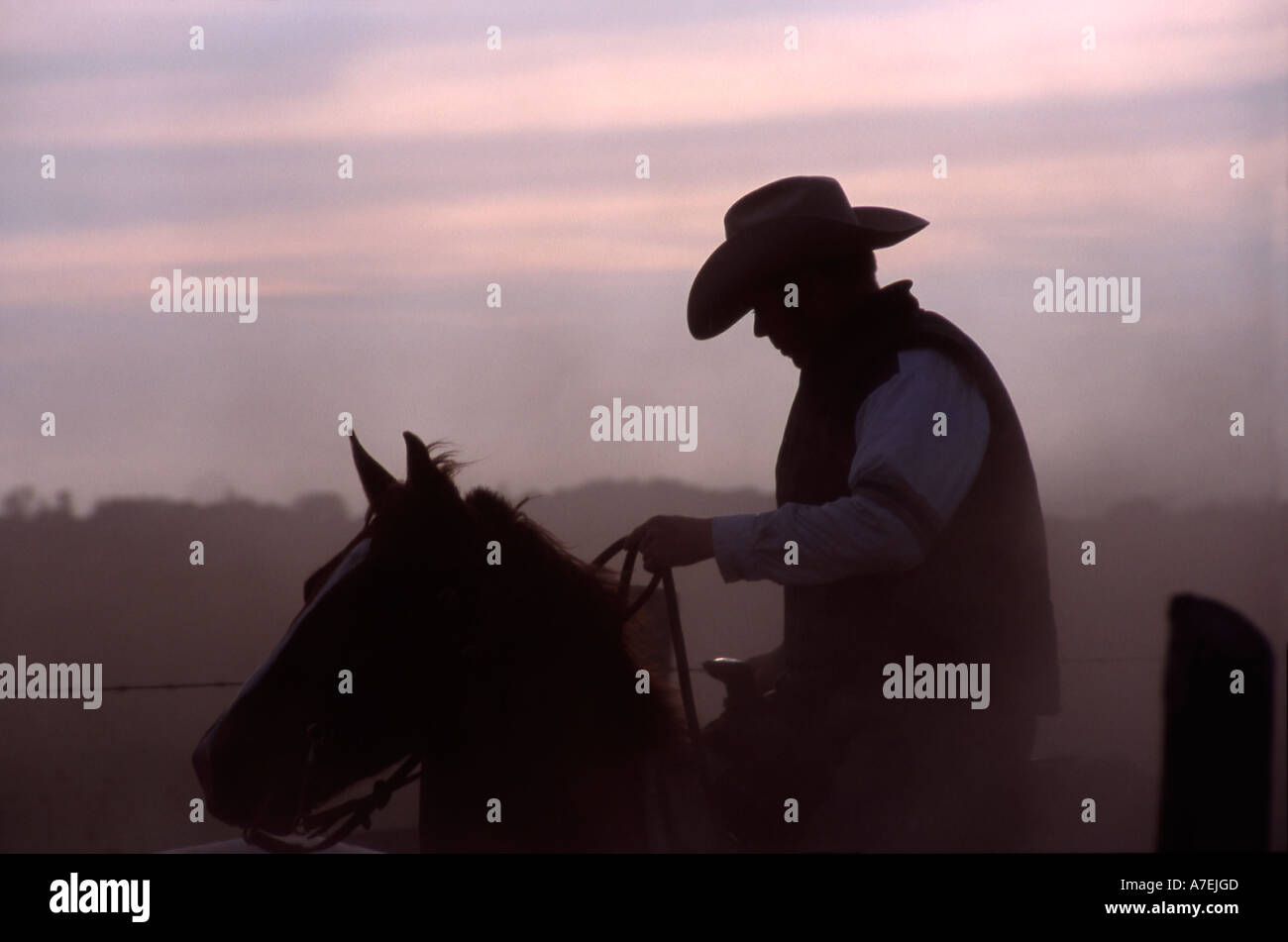 Modern day cowboy hi-res stock photography and images - Alamy