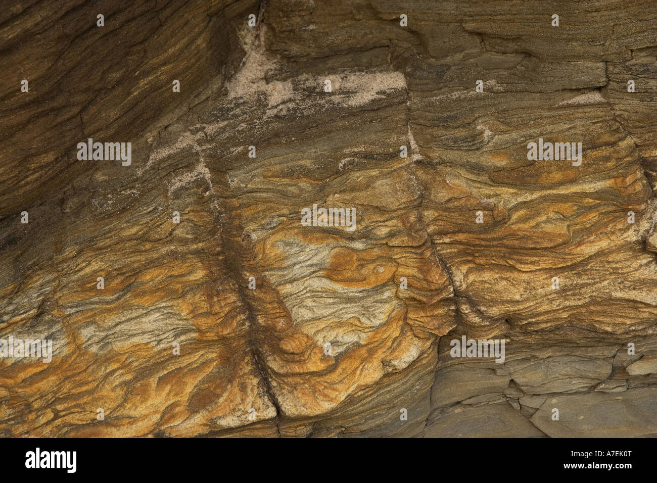Rock Strata, Beadnell, Northumberland, England, UK Stock Photo - Alamy