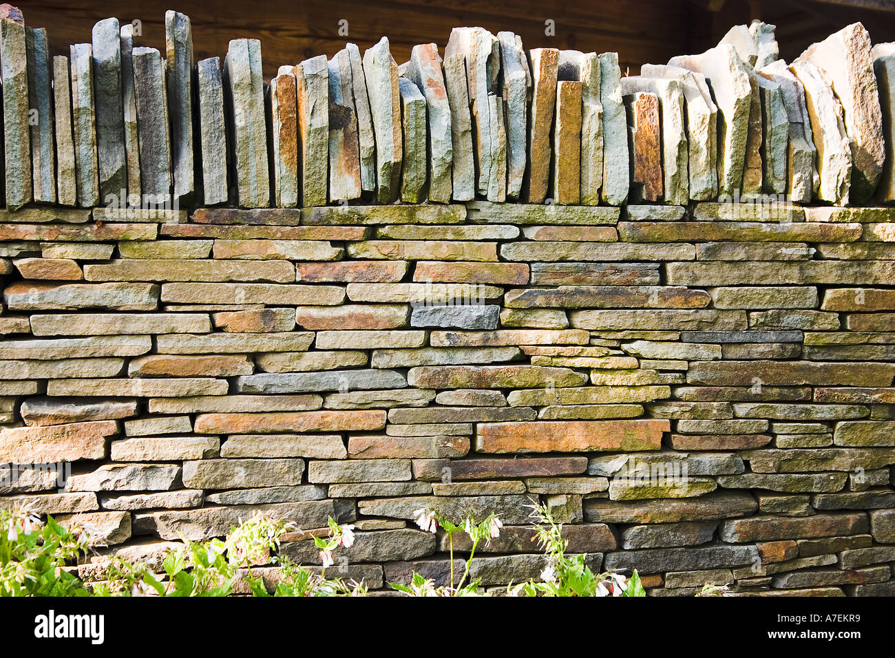 Section of dry stone wall at Wales National Botanic Garden Llanarthne S ...